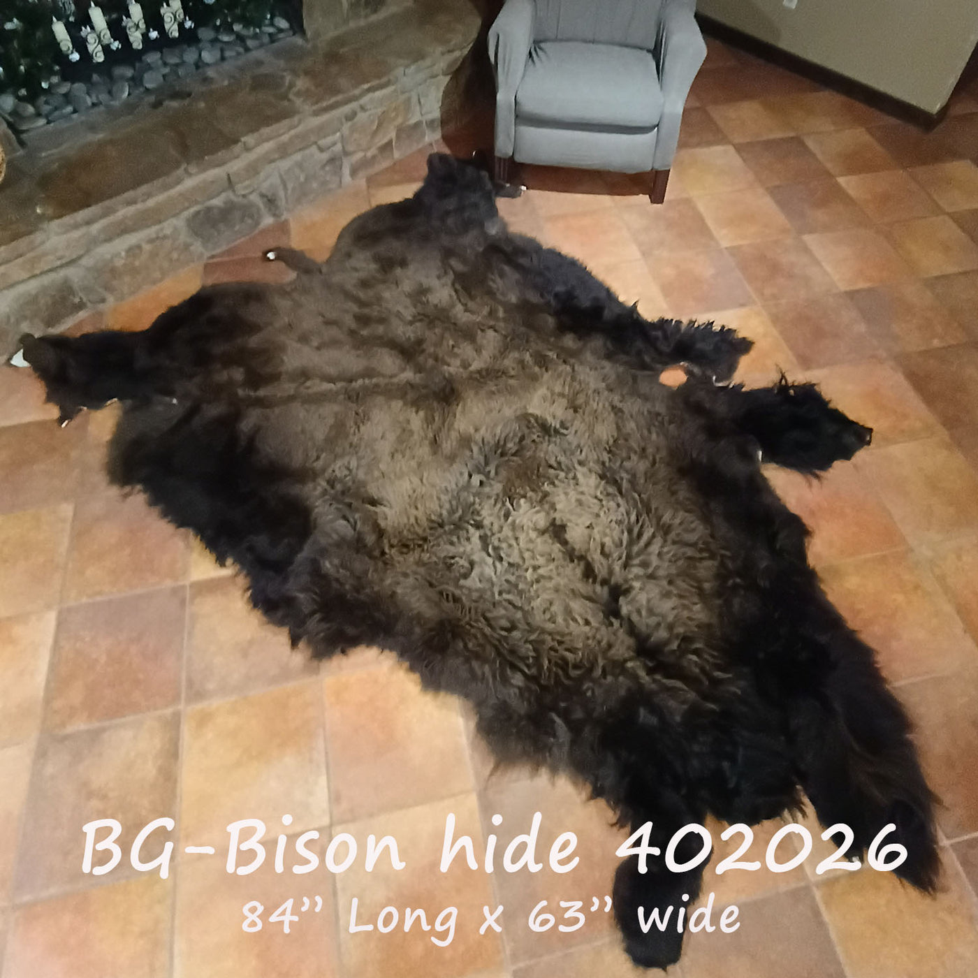 Bison (Buffalo) Hide / Robes – The Buffalo Wool Co.