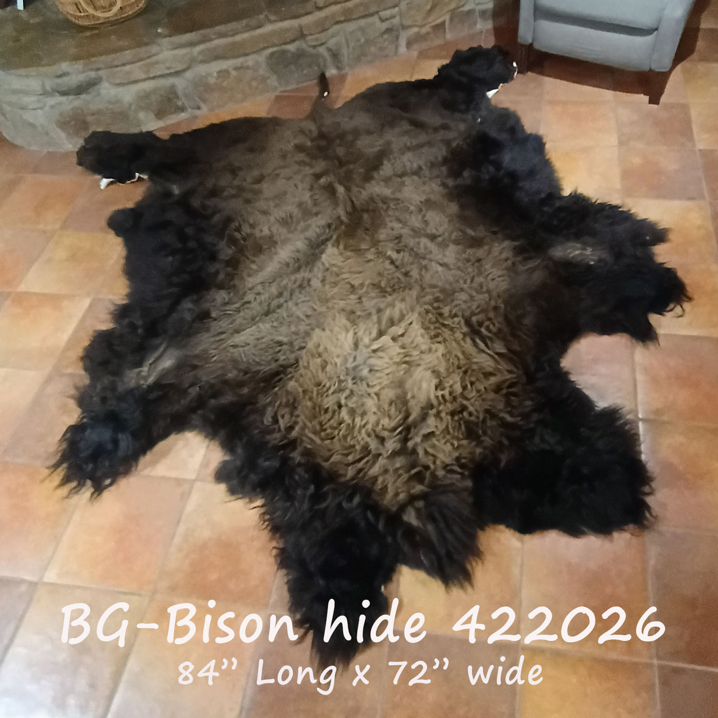 Bison (Buffalo) Hide / Robes – The Buffalo Wool Co.