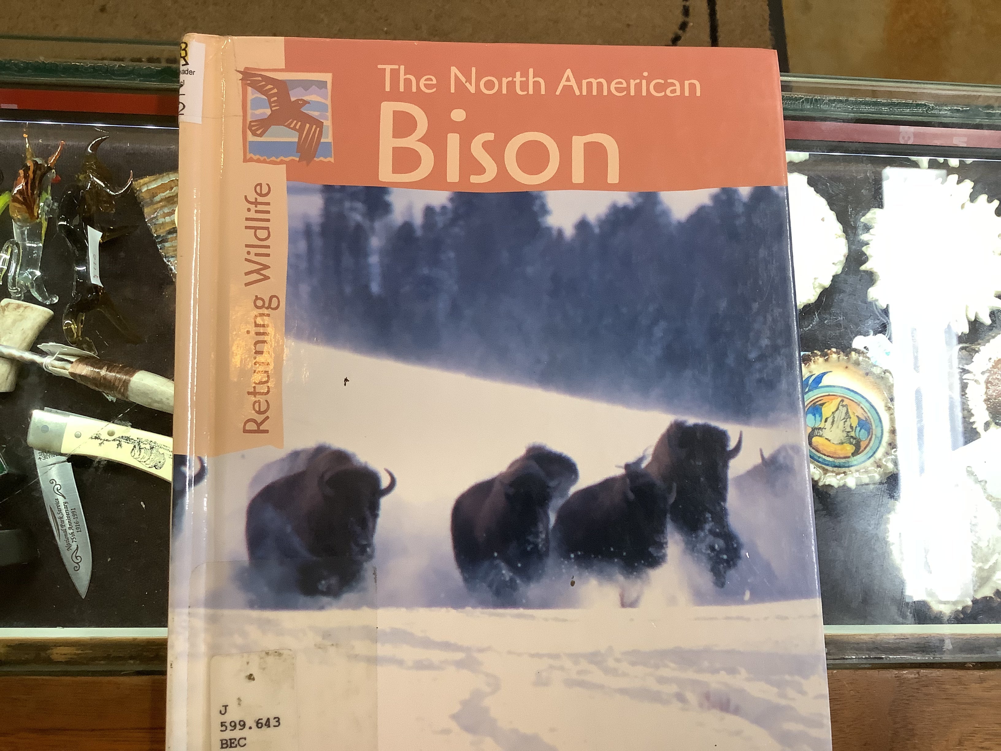 BOOKS - The North American Bison - Returning Wildlife – The Buffalo ...