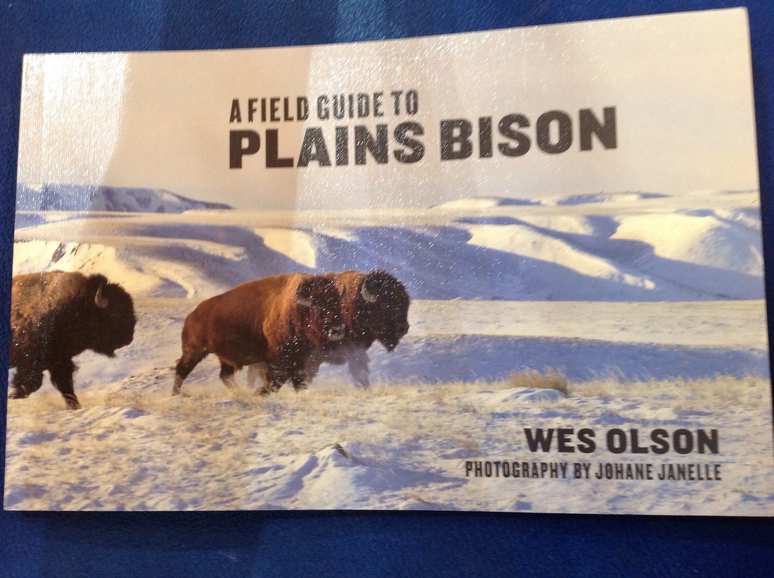 BOOKS - A Field Guide to Plains Bison – The Buffalo Wool Co.