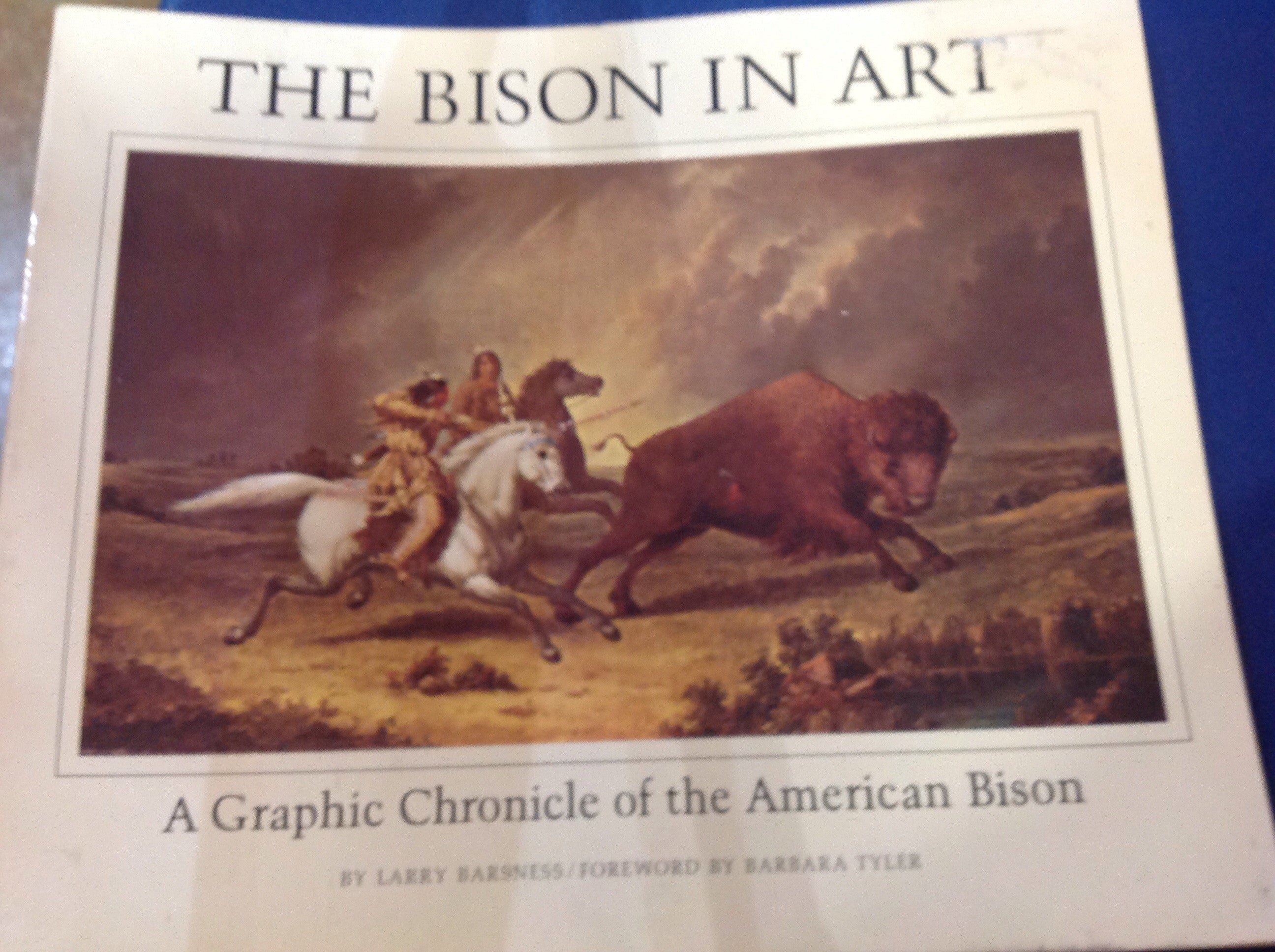 BOOKS - The Bison In Art – The Buffalo Wool Co.