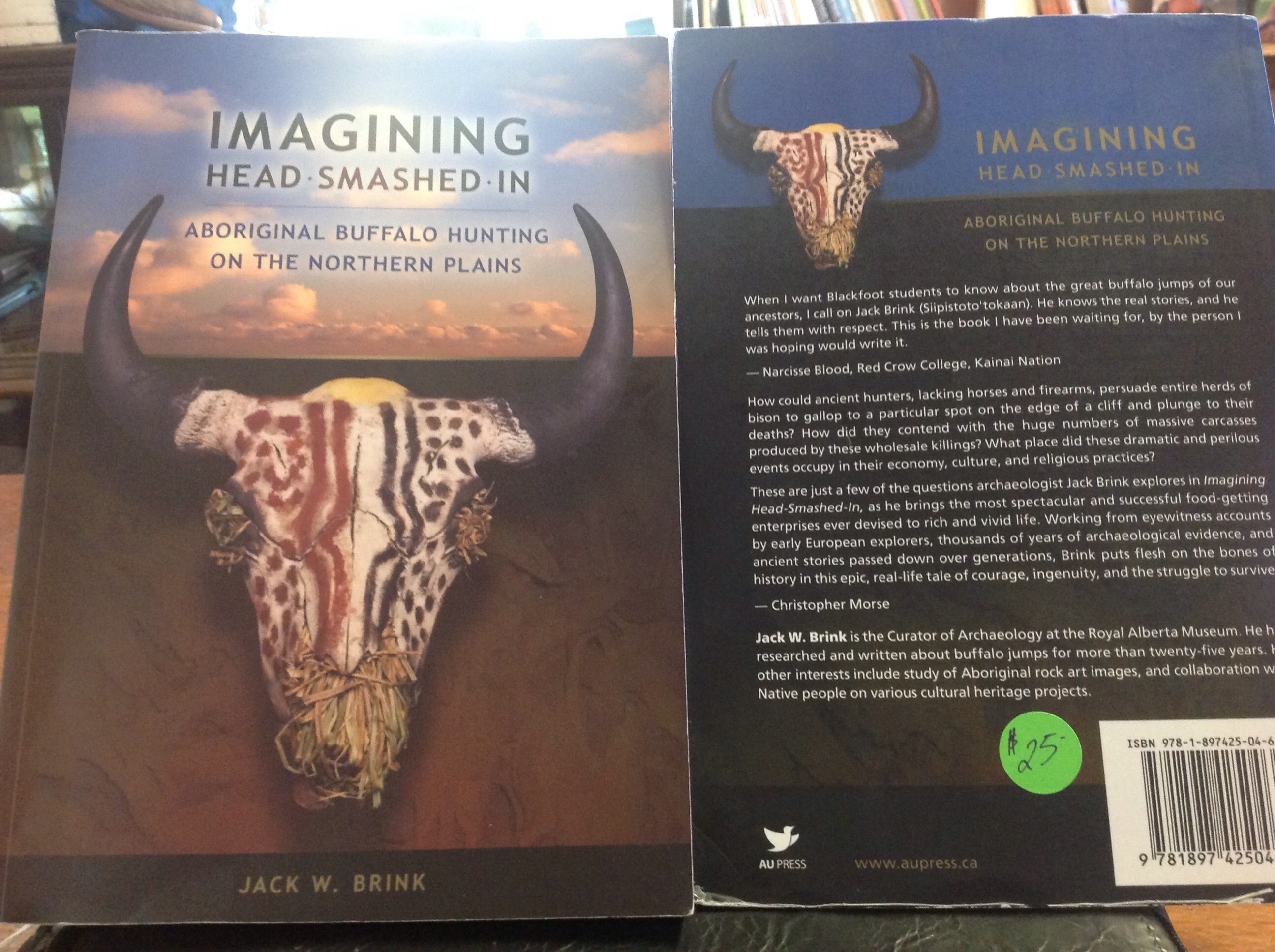 BOOKS - Imagining Head-Smashed-In – The Buffalo Wool Co.