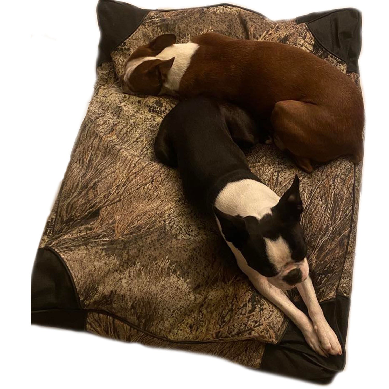 Buff Tuff: Pet Bed – The Buffalo Wool Co.
